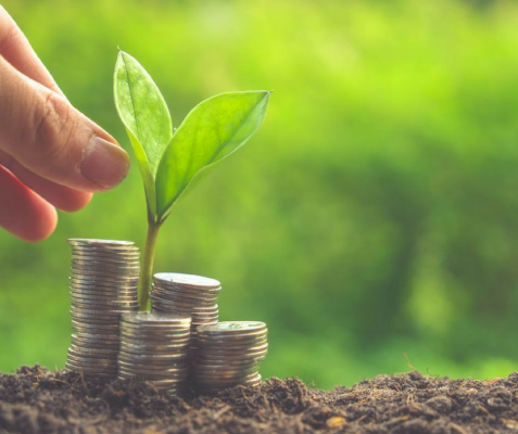 Investing Steps for Beginners: Where You Should Start