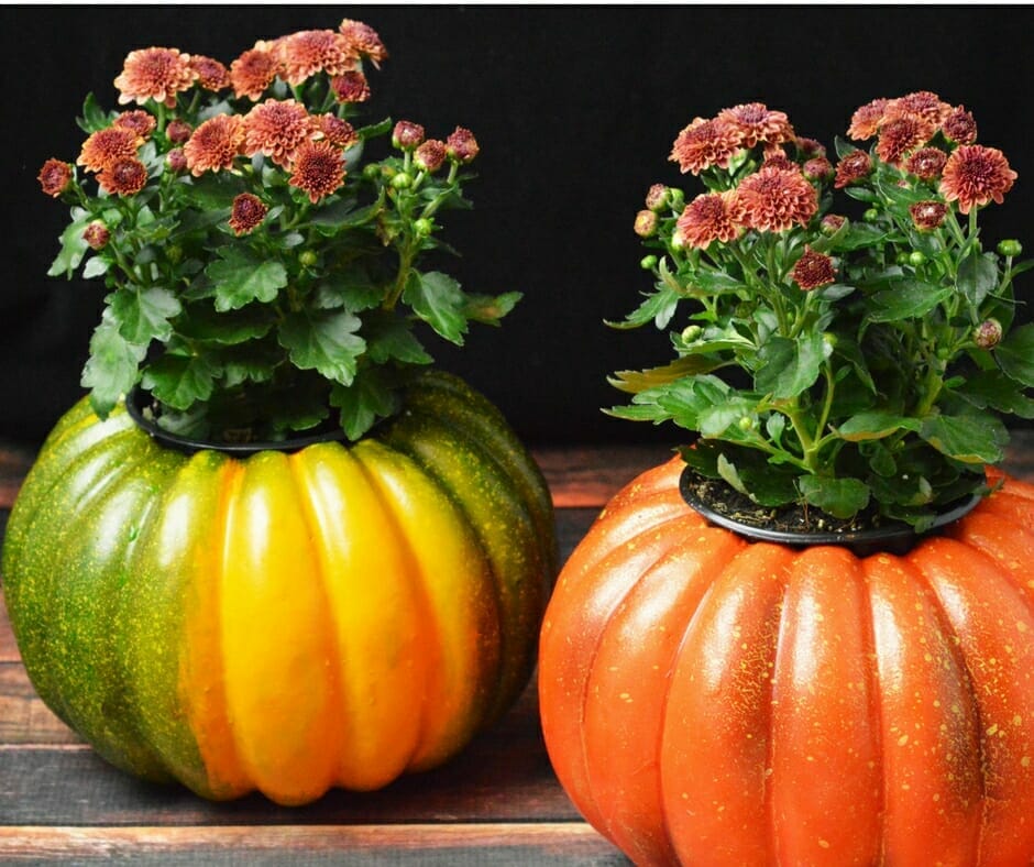 DIY Pumpkin Planters - Easy Way to Decorate for Fall