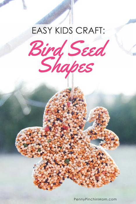 Easy Bird Seed Shapes | A simple way to feed the birds!