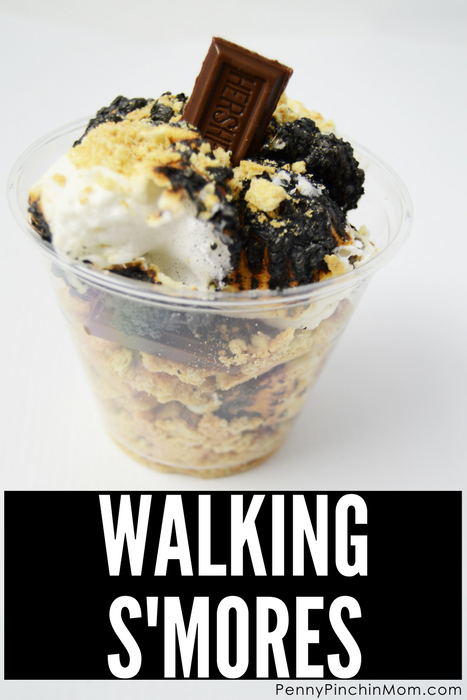 Walking S'Mores | The clean way to enjoy S'Mores!