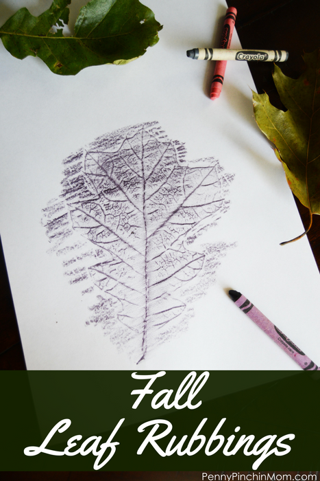 Fall Leaf Rubbings | A fun and easy fall craft or activity!