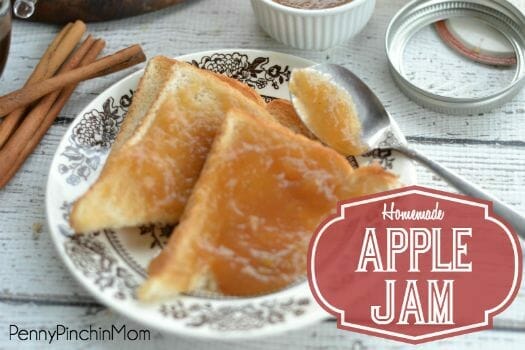 Homemade Apple Jam - Penny Pinchin' Mom
